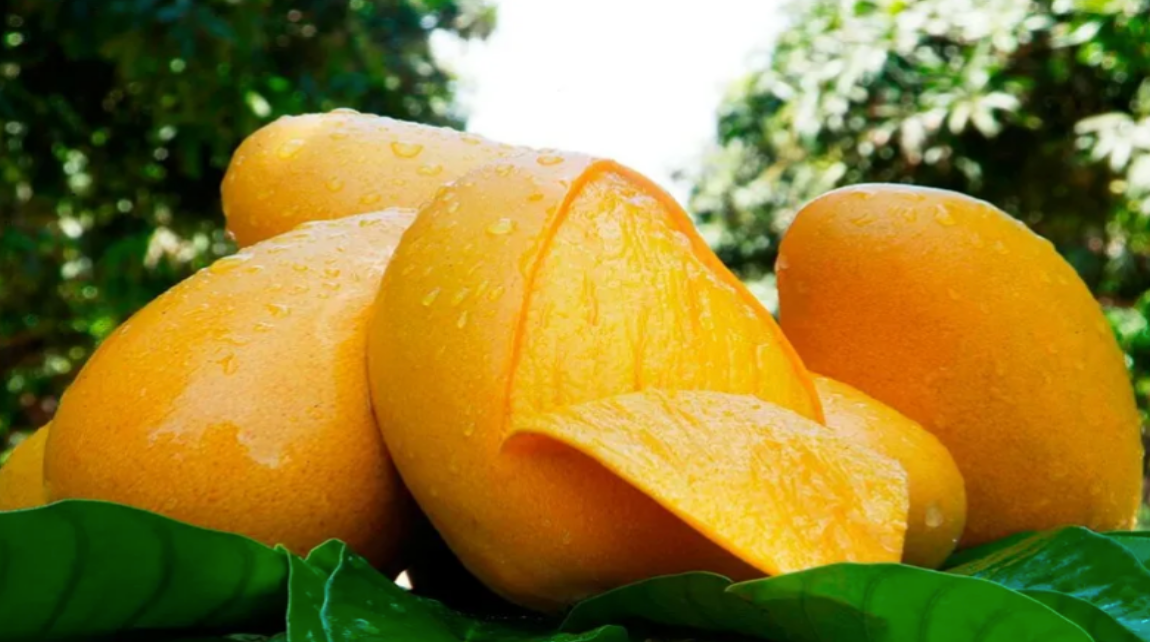 La historia del mango Ataulfo: ¿cuál es su origen y por qué se llama así?